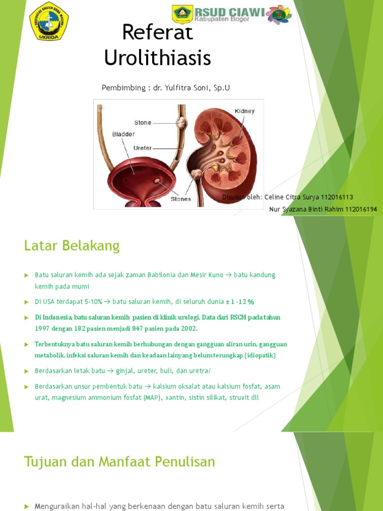 Referat Urolithiasis | PDF