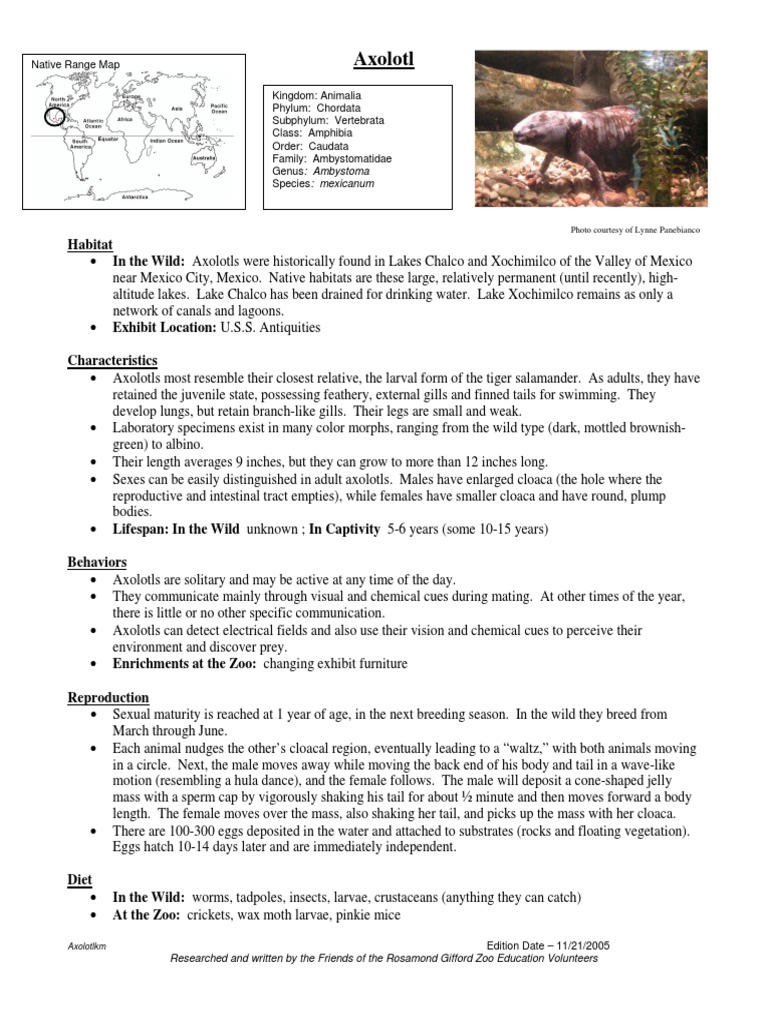 Axolotl PDF | PDF | Organisms | Nature