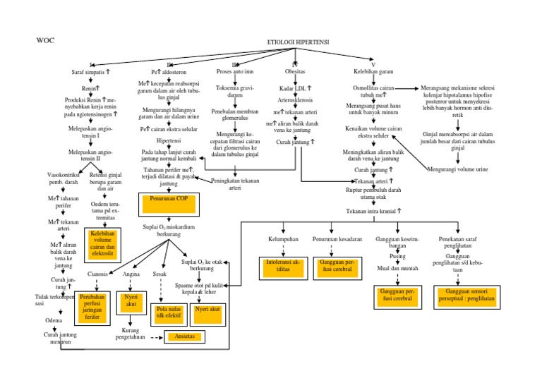 Woc Hipertensi PDF | PDF