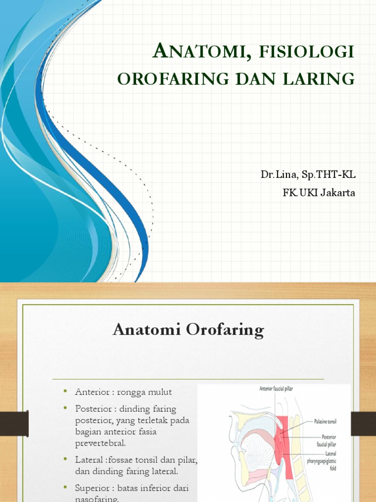 ANATOMI FISIOLOGI OROFARING Dan LARING | PDF