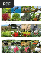 Flora y Fauna Queretaro | PDF