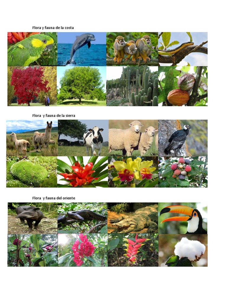 Flora y Fauna de La Costa | PDF
