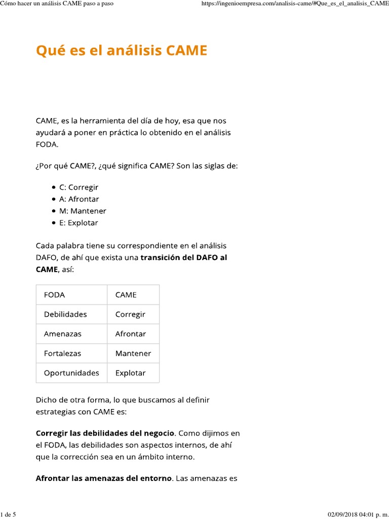 Cómo Hacer Un Análisis CAME Paso A Paso | PDF