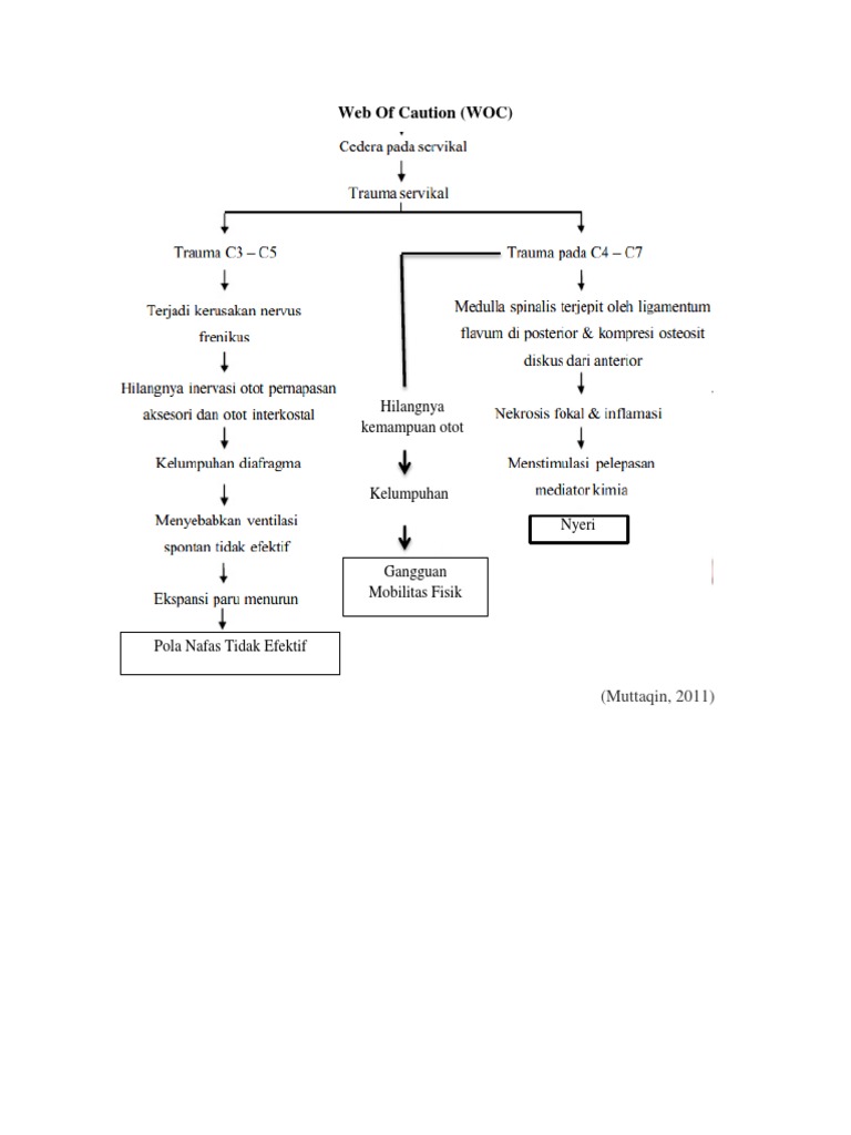 Web of Caution | PDF