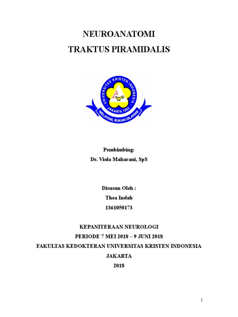 NEUROANATOMI-traktus Piramidalis | PDF