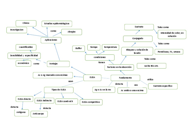 Mapa Conceptual Elisa | PDF | Elisa | Biología