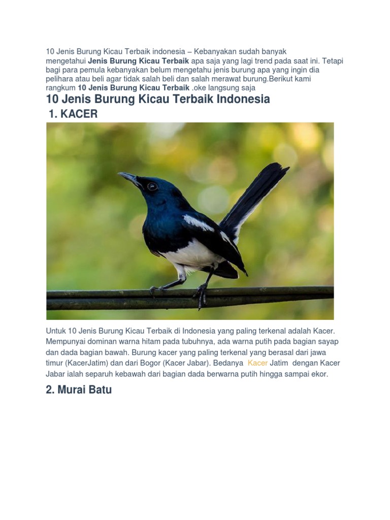 10 Jenis Burung Kicau Terbaik Indonesia | PDF