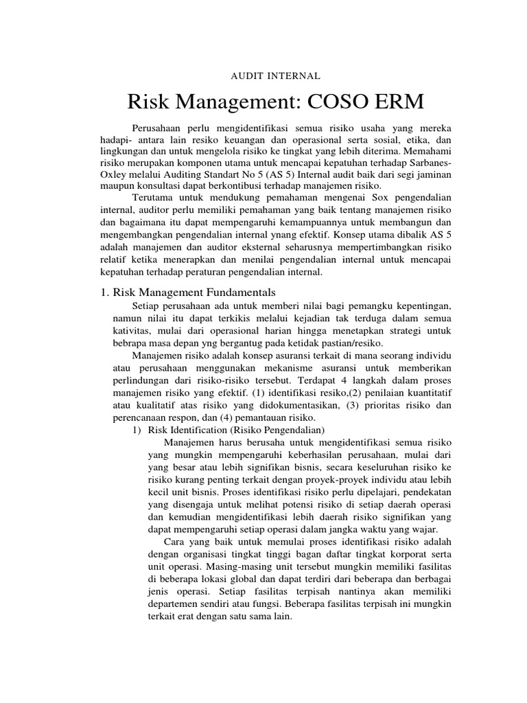 Audit Internal BAB 6 | PDF