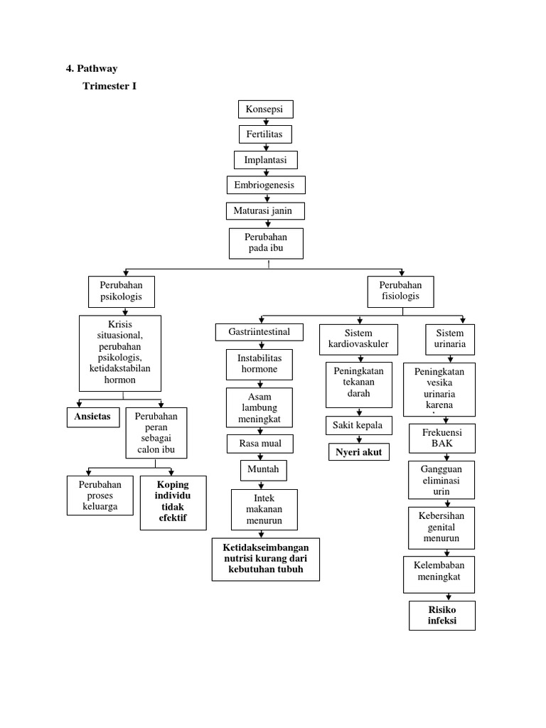 Pathway Anc Trimester 1 | PDF