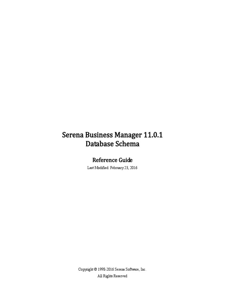 SBM Schema | PDF | Application Programming Interface | Databases