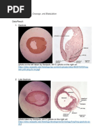 Making A Hay Infusion | PDF | Bacteria | Water