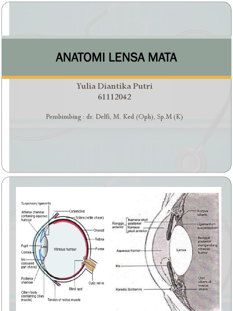 Anatomi Lensa Mata | PDF