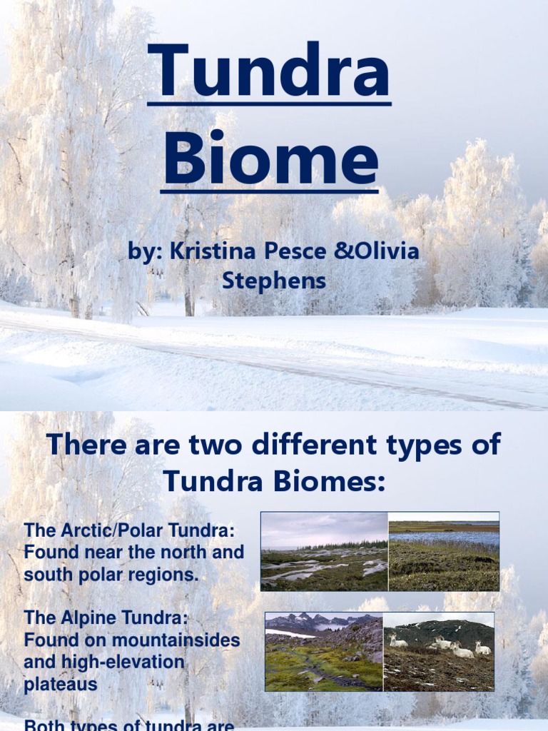 Tundra Biome | PDF | Physical Geography | Earth Sciences