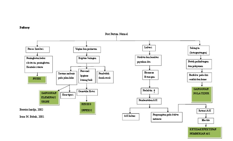 Pathway Post Partum Normal dan Laktasi | PDF