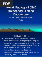 Thorax PA, AP Dan Lateral, RLD Dan LLD | PDF