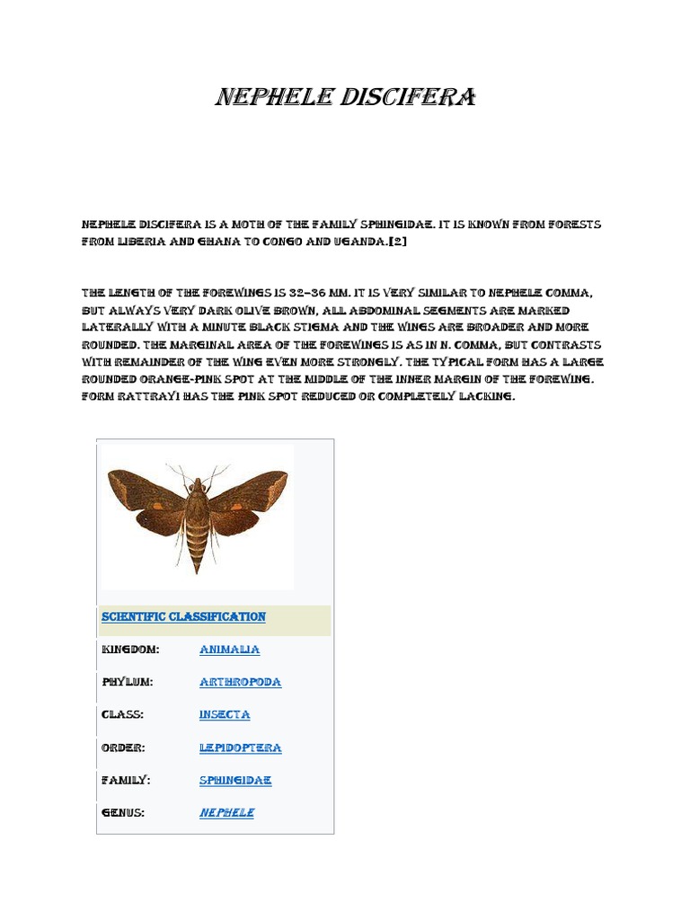 Nephele discifera Moth Overview | PDF | Science & Mathematics