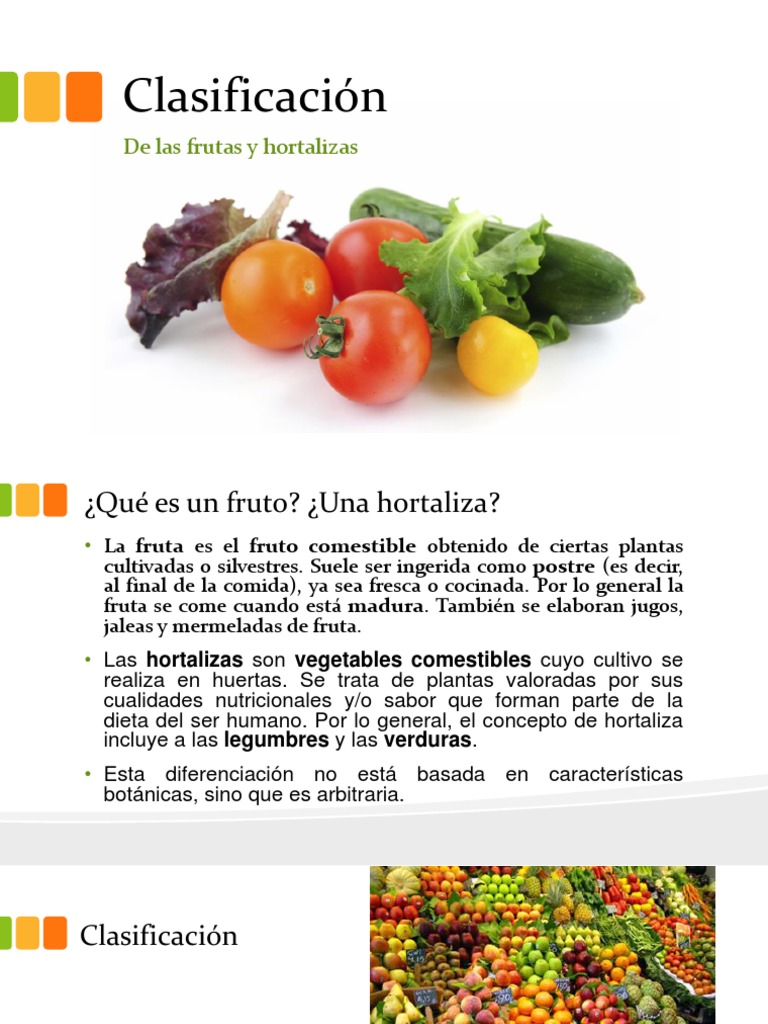 Clasificación de Frutas y Hortalizas | PDF | melocotón | Vegetales