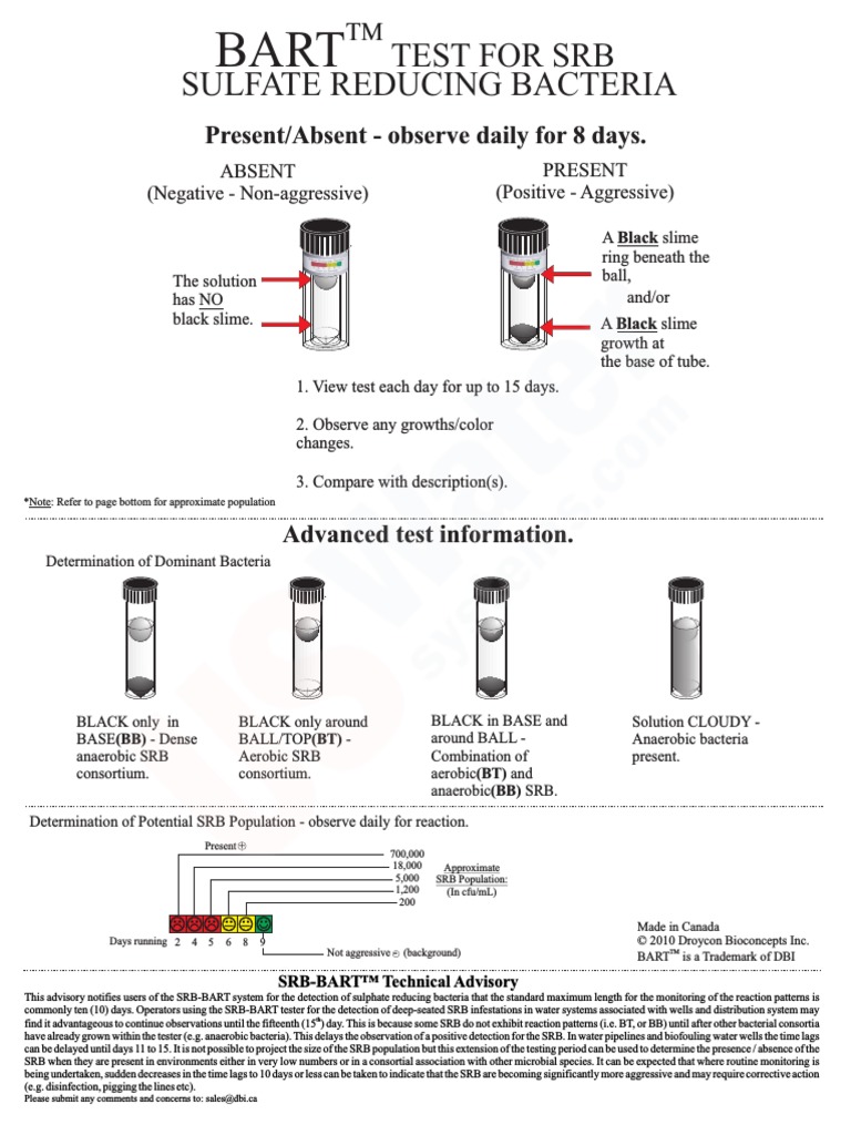 SRB PDF | PDF | Microbiology | Chemistry