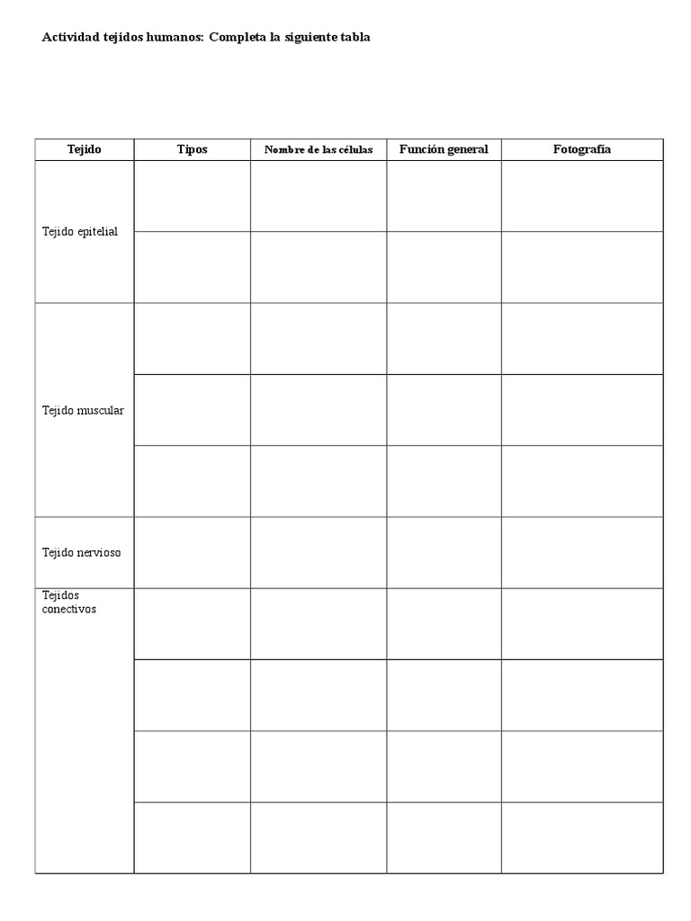 Activ-3 Tabla Tejidos | PDF