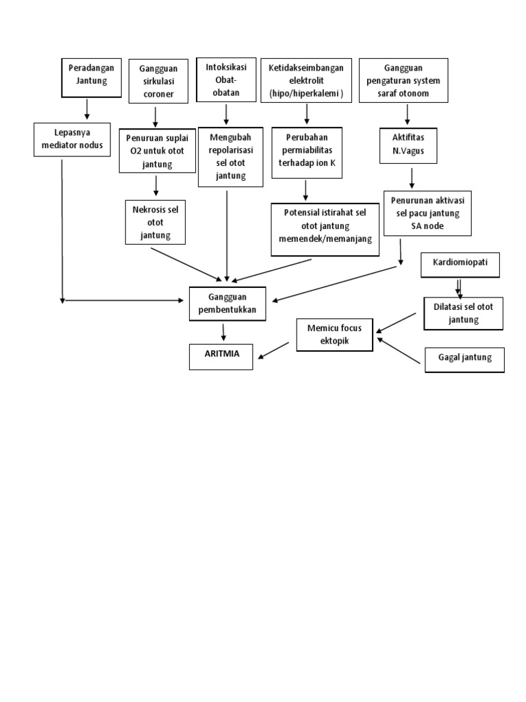 PATHWAY Aritmia | PDF