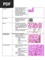 Councilman body in human biology - Wikipedia | PDF | Apoptosis | Liver