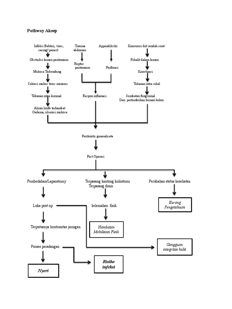 Pathway Keperawatan | PDF