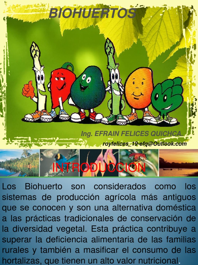 Que Es Un Biohuerto | PDF | Agricultura ecológica | Agricultura