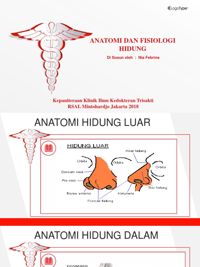 Anatomi Hidung | PDF