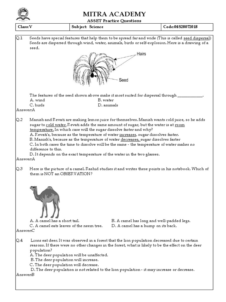 Asset Questions | PDF | Recycling | Root