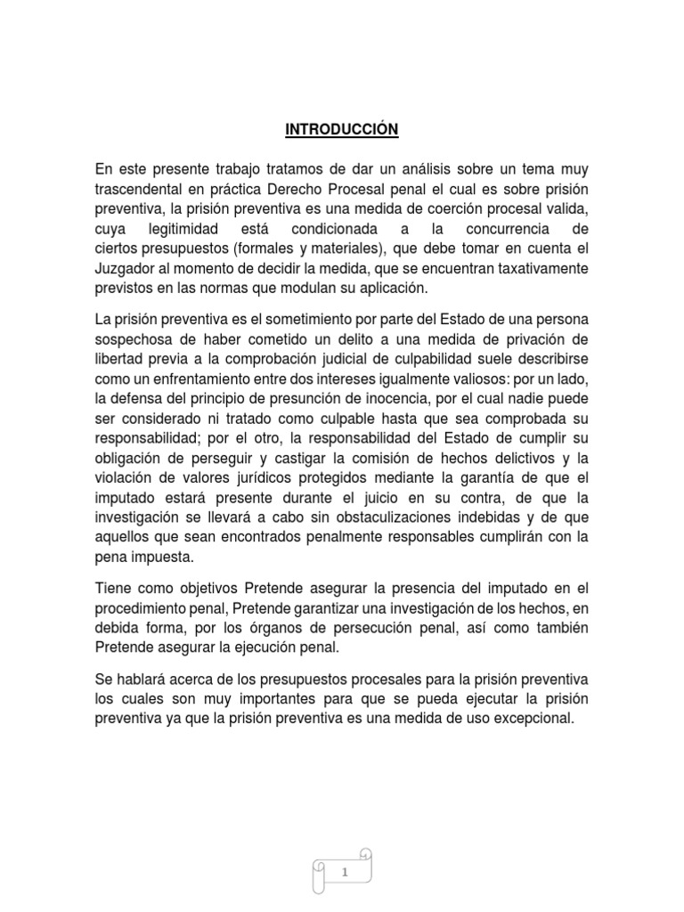 Prision Preventiva Pdf Derecho Penal Ley Procesal