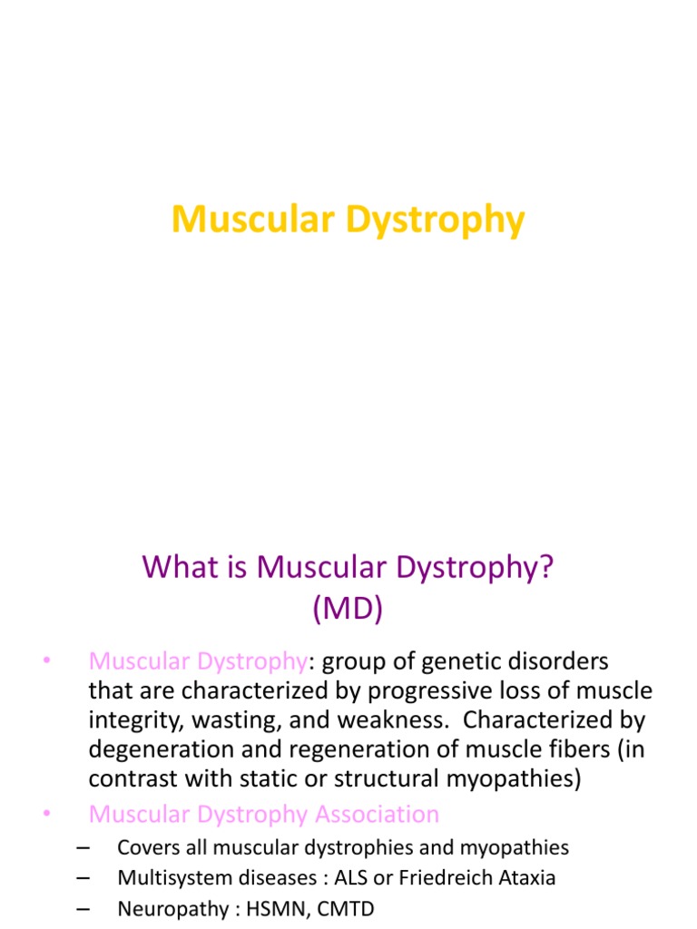 Muscular Dystrophy.ppt | Muscular Dystrophy | Muscle