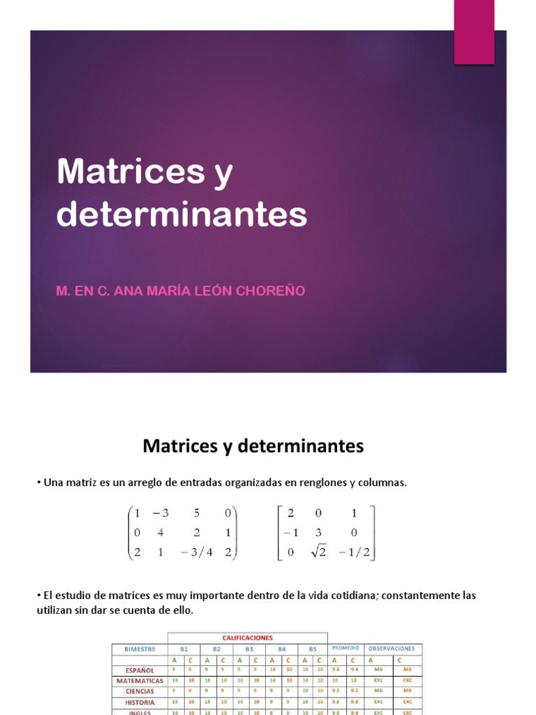Matrices y Determinantes UnADM | PDF | Determinante | Matriz (Matemáticas)