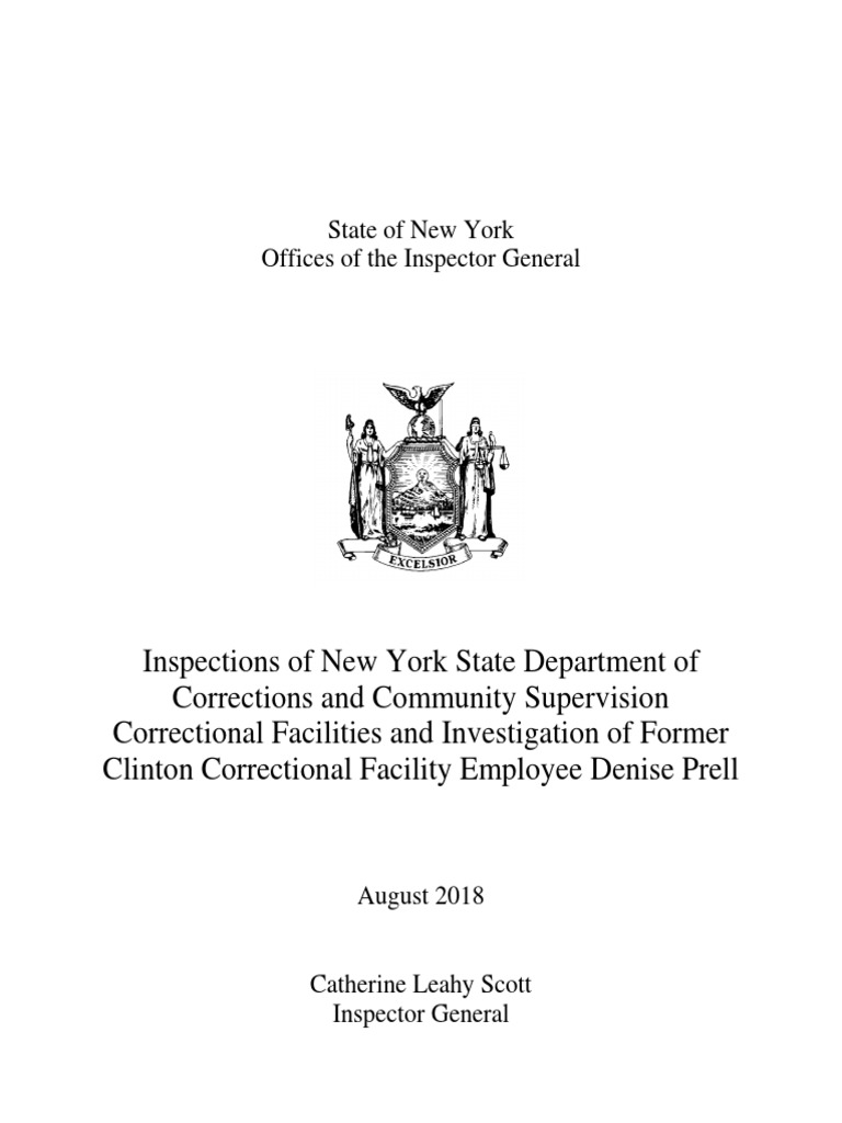 Offices of The Inspector General Correctional Facility Inspection ...