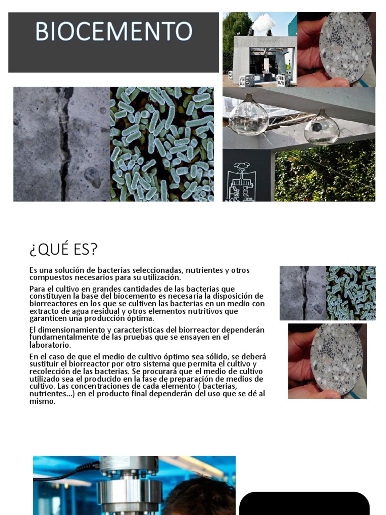 Bio Cemento | PDF