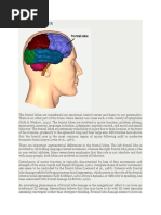 Slums With Instruction | PDF | Cognitive Psychology | Neuroscience