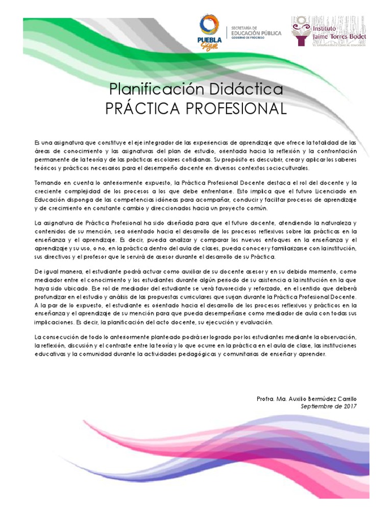 Plan Curso-Practica Profesional 2017 | PDF | Plan de estudios ...
