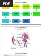 Sistema Hexaxial de Bailey | PDF | Electrocardiografia | Corazón