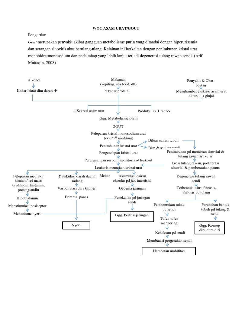 Woc Gerontik 2 | PDF