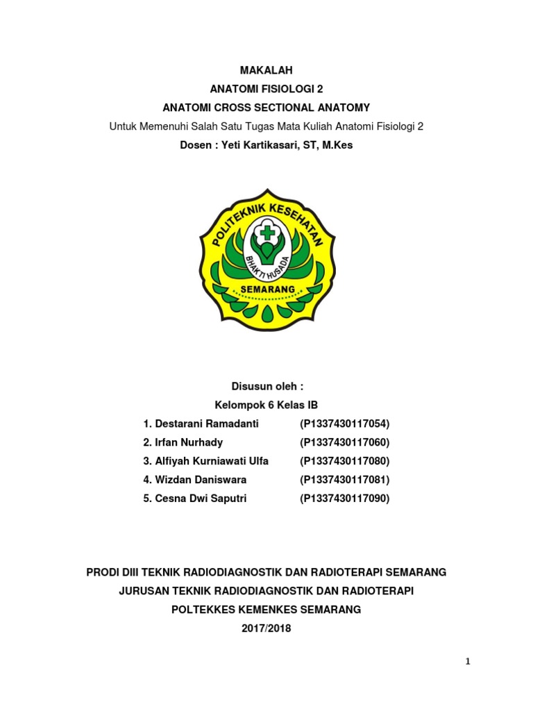 Potongan Transversal Anatomi Kepala | PDF