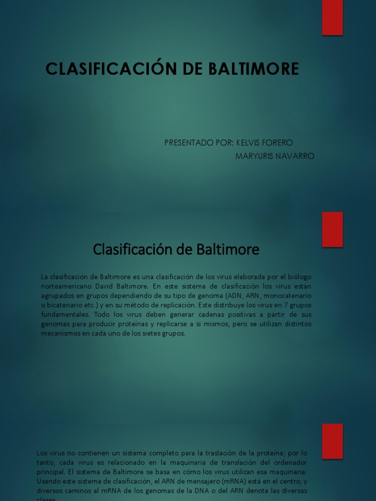 Clasificación Baltimore: Virus ADN | PDF | Virus | Replicación De Adn