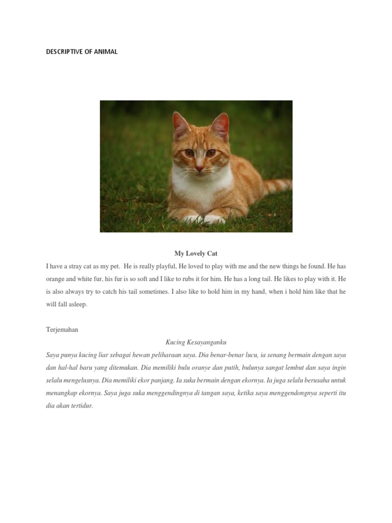 Descriptive Texts About Pets and Animals | PDF
