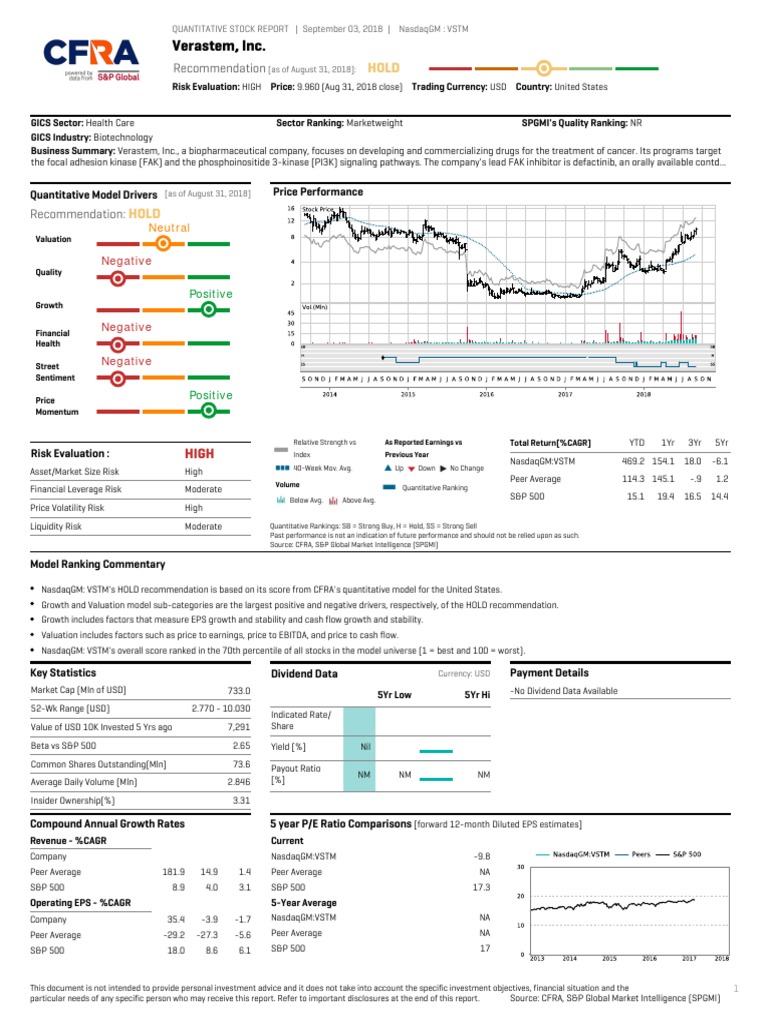 VSTM Report1 PDF | PDF | Stock Market Index | Investing