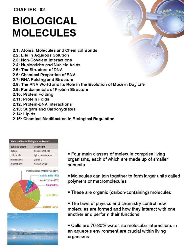 Craig Ch02 Molecules | PDF | Ion | Nucleotides