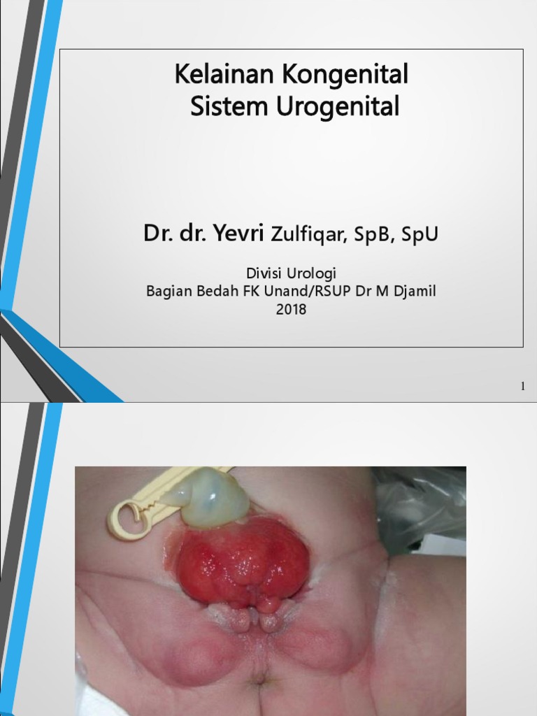 Kelainan Kongenital: Pyelum dan Scrotum Bifidum | PDF