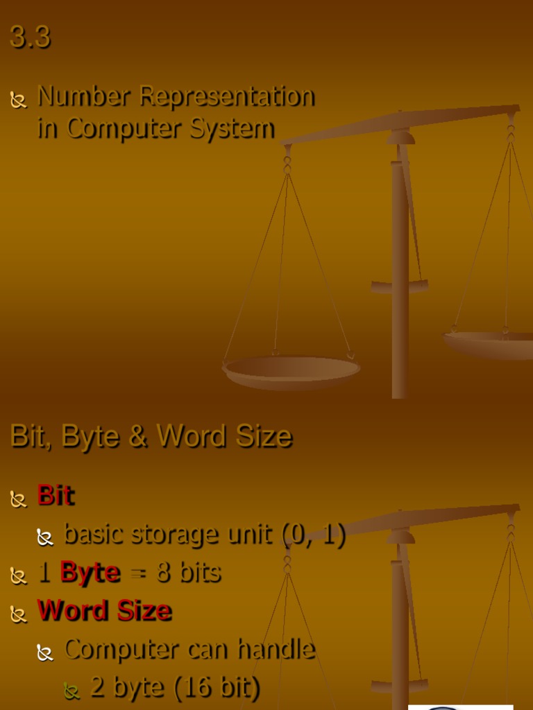 Number Representation in Computer System | PDF