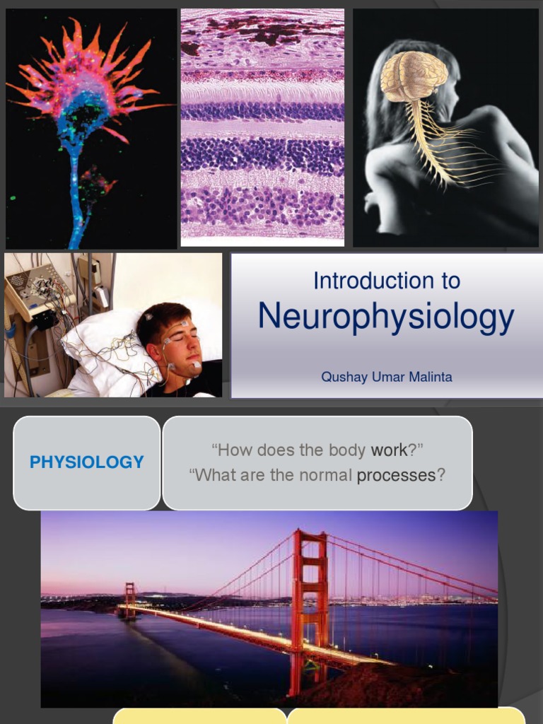 Neurophysiology: Introduction To | PDF | Action Potential ...