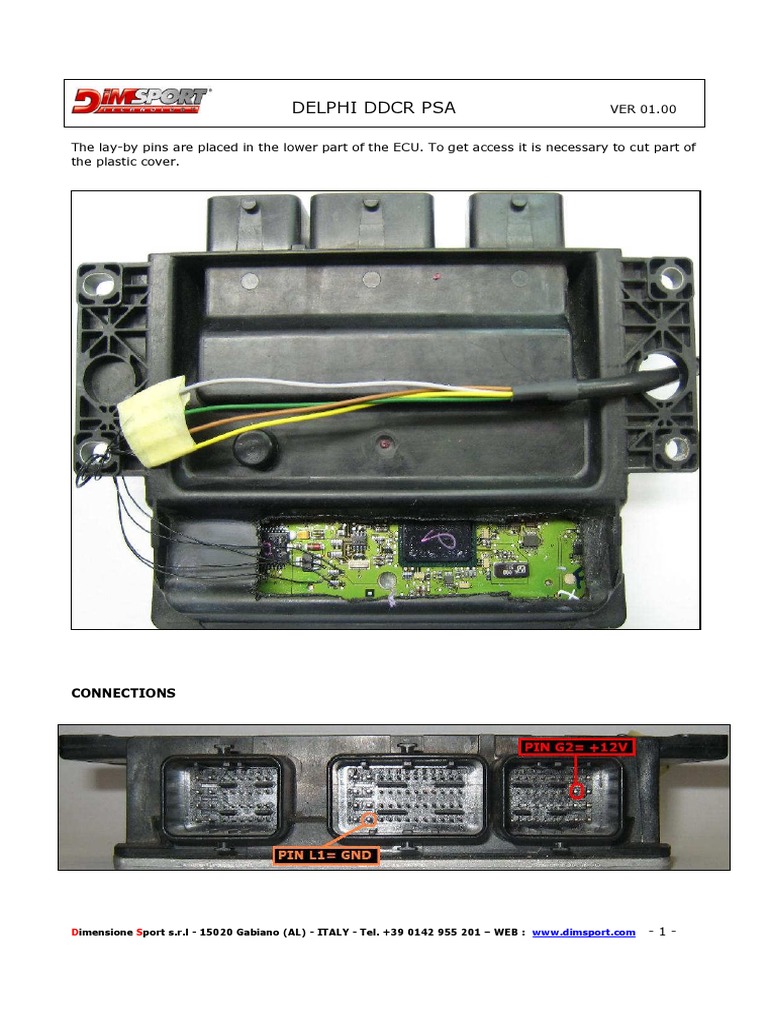 Delphi DDCR Psa PDF | PDF