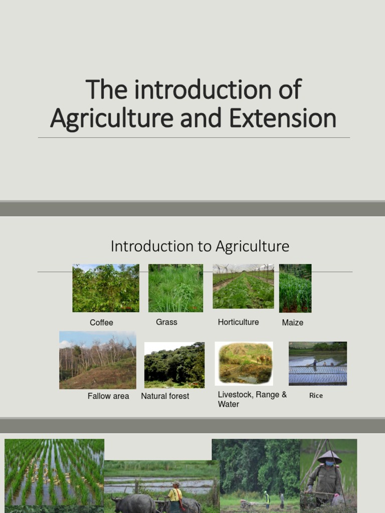 Introduction to Agriculture & Extension | PDF | Top Down And Bottom Up ...