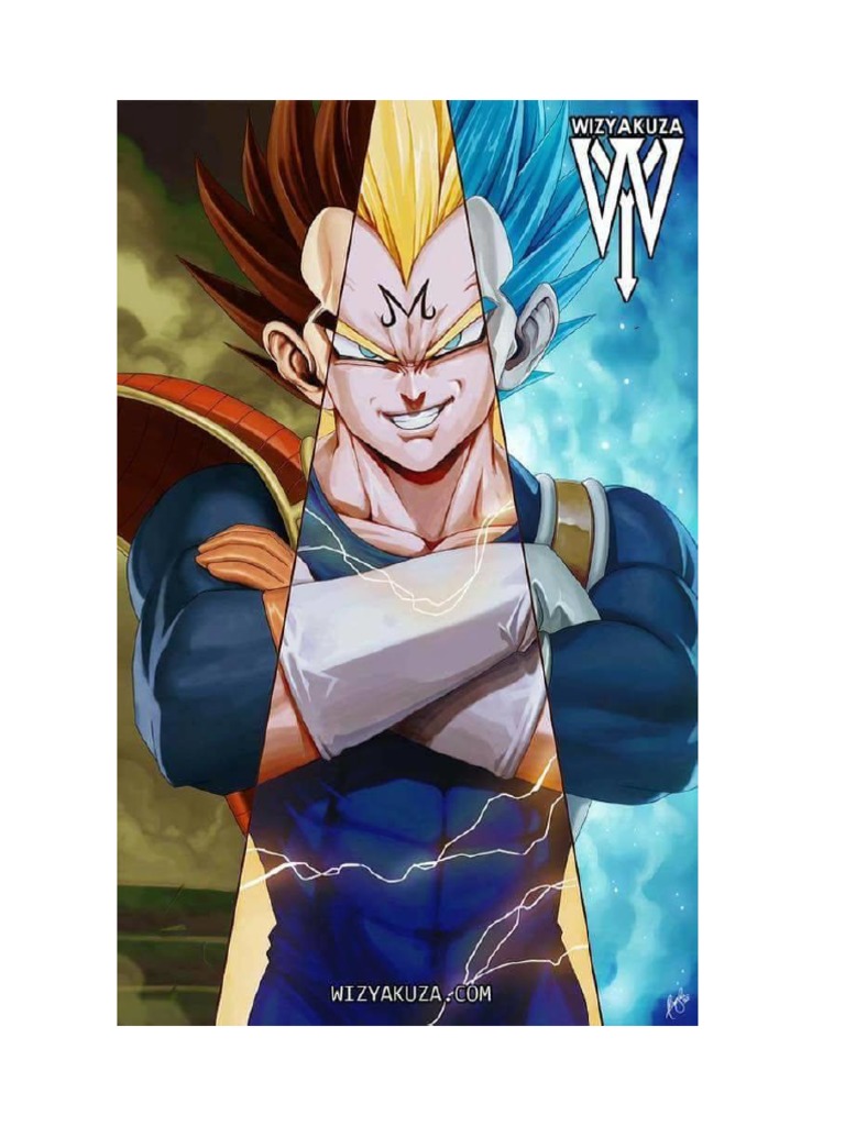 Vegeta Todas Las Fases | PDF