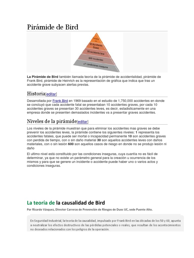 Pirámide de Bird: Control de Riesgos Laborales | PDF | Teoría | Salud y ...